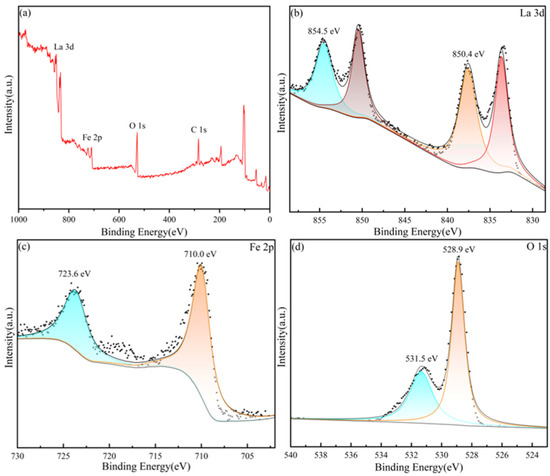 Hydrothermal Growth and Orientation of LaFeO3 Epitaxial Films