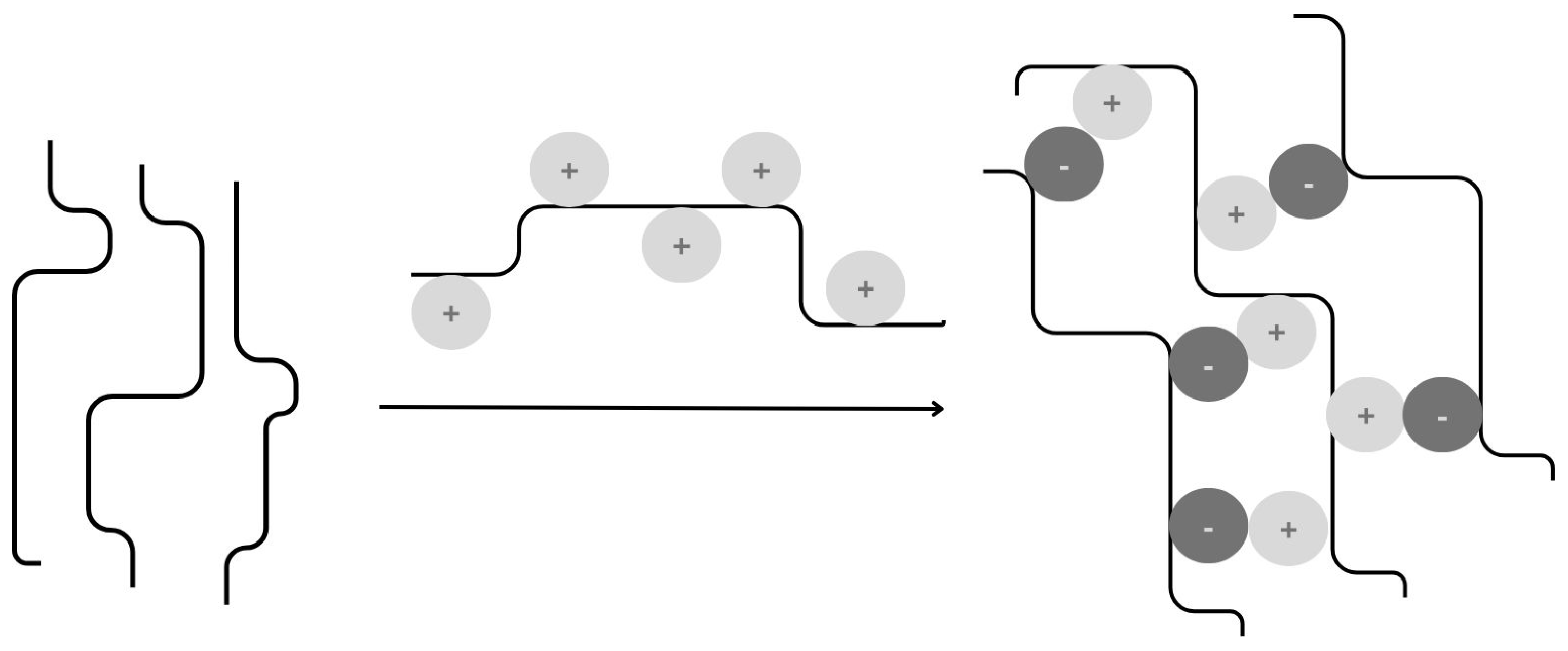 Encapsulation of Active Substances in Natural Polymer Coatings