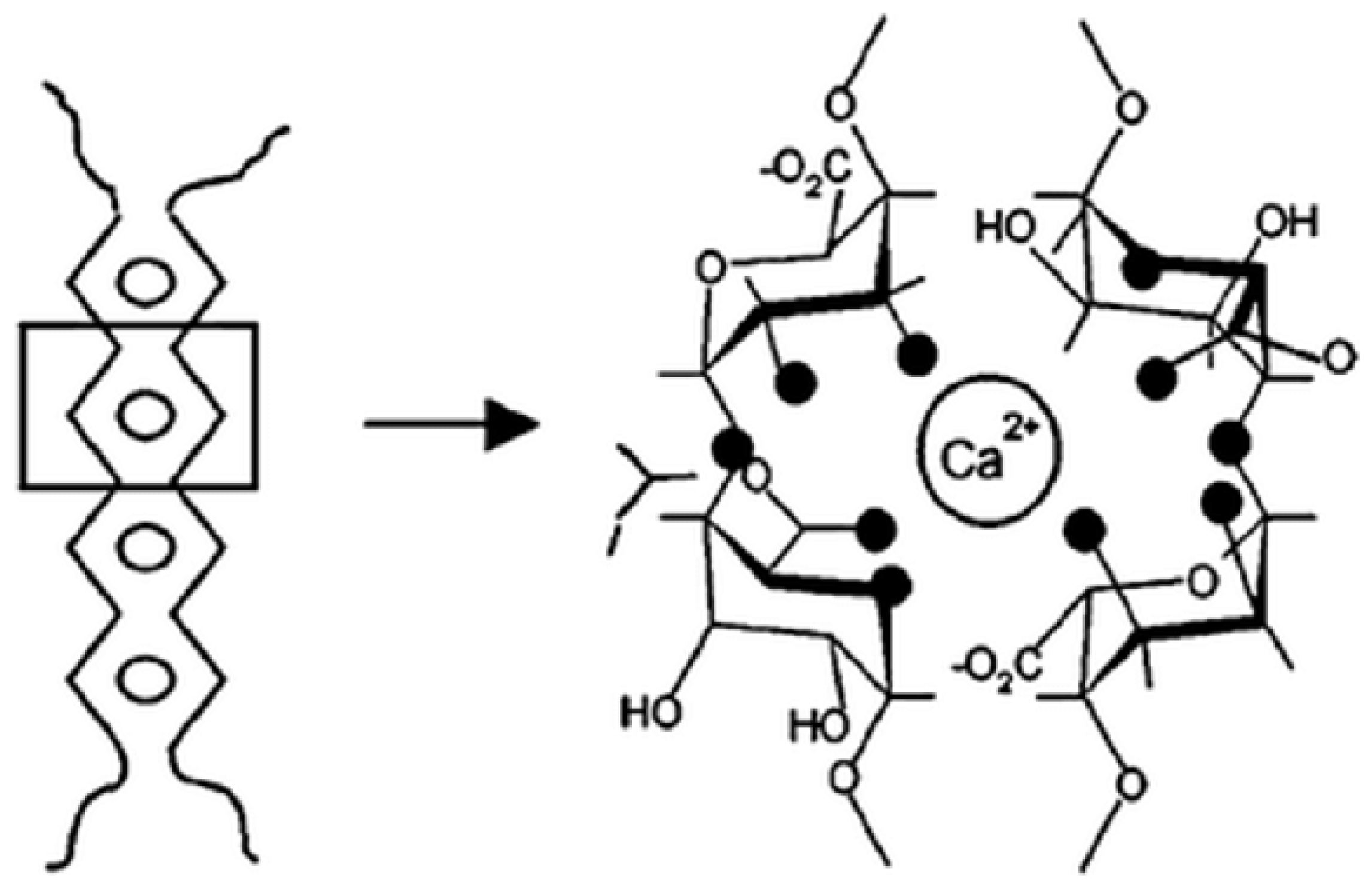Encapsulation of Active Substances in Natural Polymer Coatings