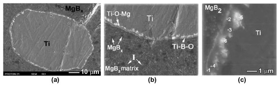 Bulk MgB2 Superconducting Materials: Technology, Properties, and ...