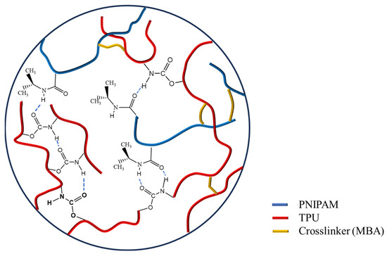 Materials | Free Full-Text | Thermoplastic Polyurethane-poly(N ...