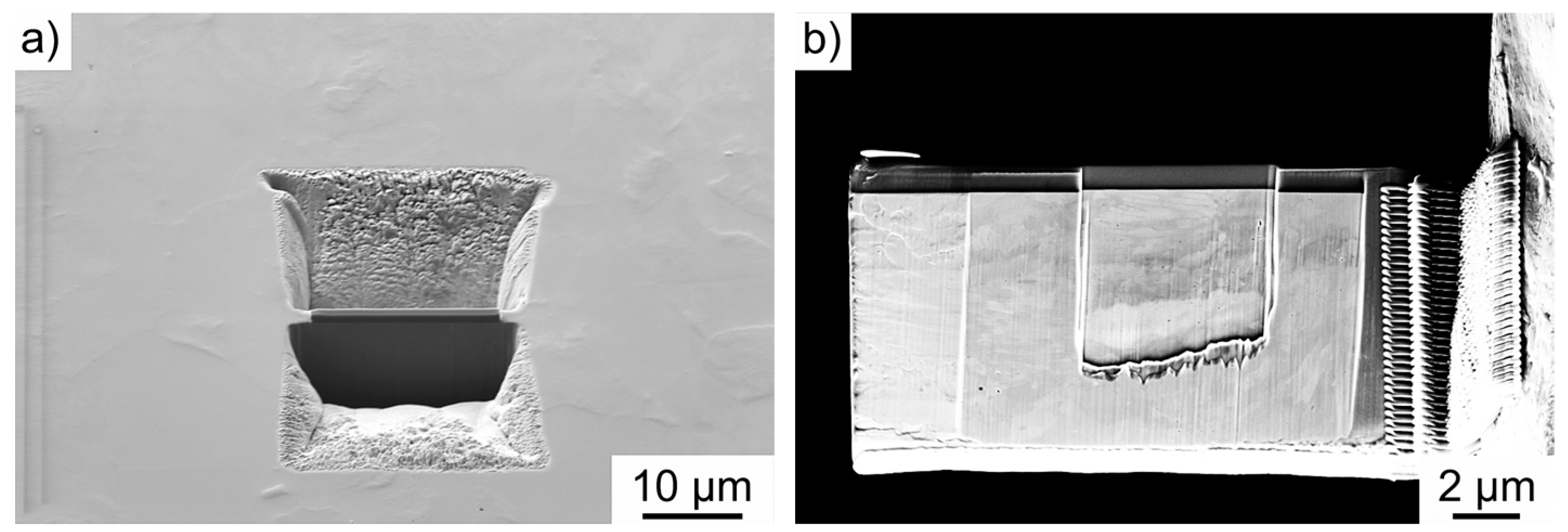 Separation of Damage Mechanisms in Full Forward Rod Extruded Case-Hardening Steel 16MnCrS5 Using ...