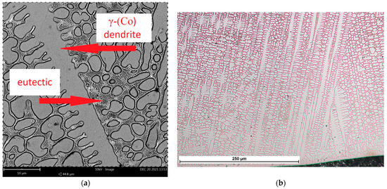 Microstructure and Erosion Wear of In Situ TiC-Reinforced Co-Cr-W-C ...
