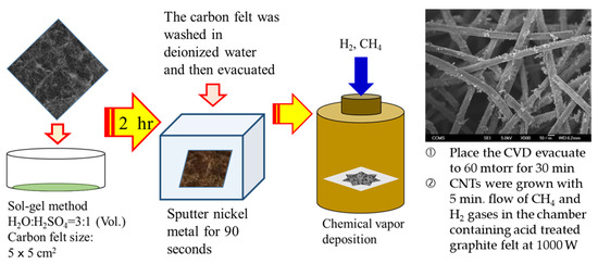 CVD Grown CNTs-Modified Electrodes for Vanadium Redox Flow Batteries