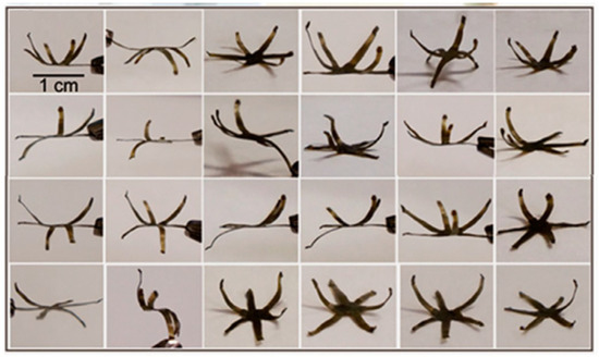 Carbon Fiber-Based Vitrimer Composites: A Path toward Current Research ...