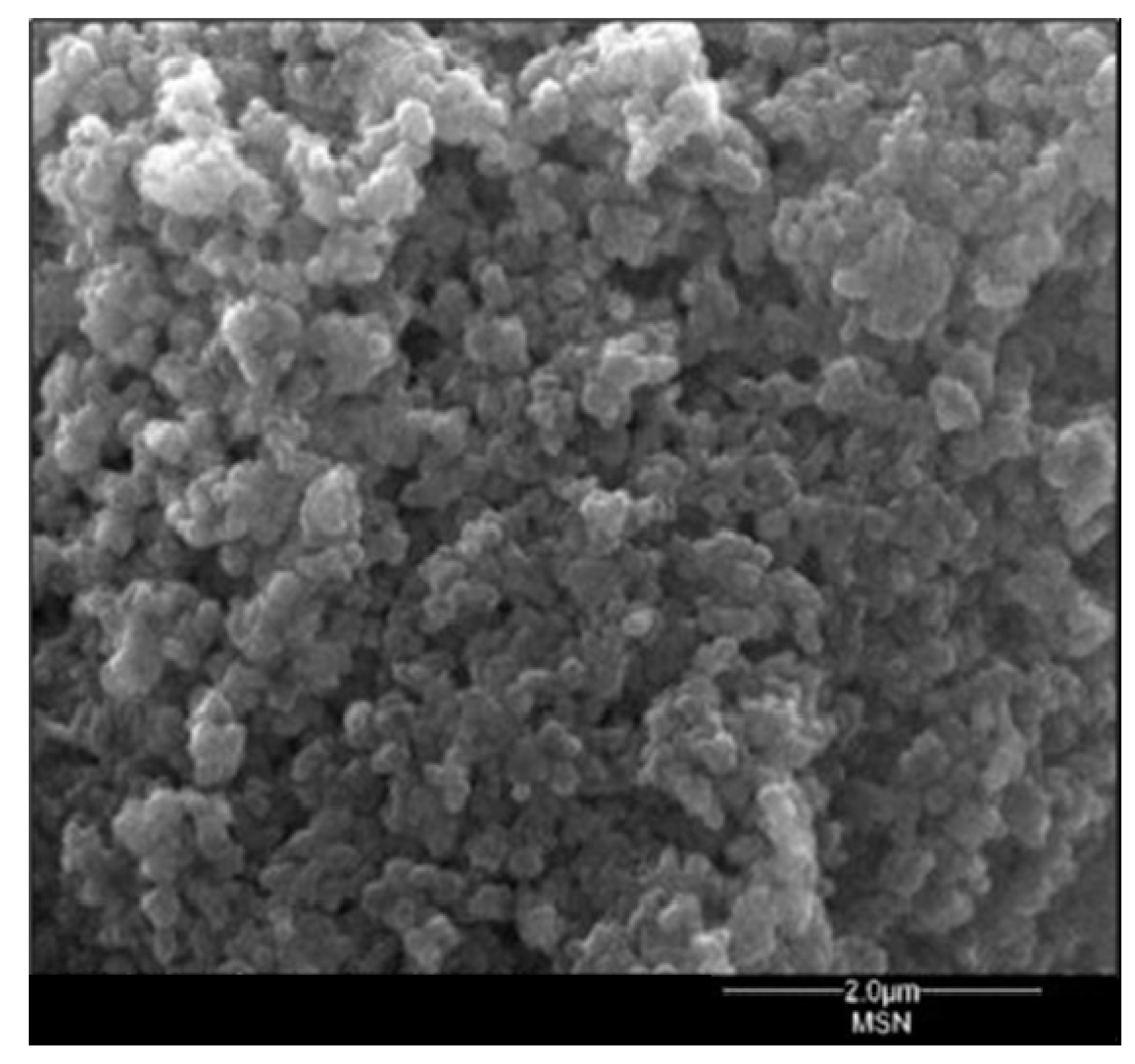 Engineered Mesoporous Silica-Based Nanoparticles: Characterization of ...