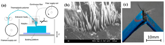 Additive Manufacturing-Enabled Advanced Design and Process Strategies ...