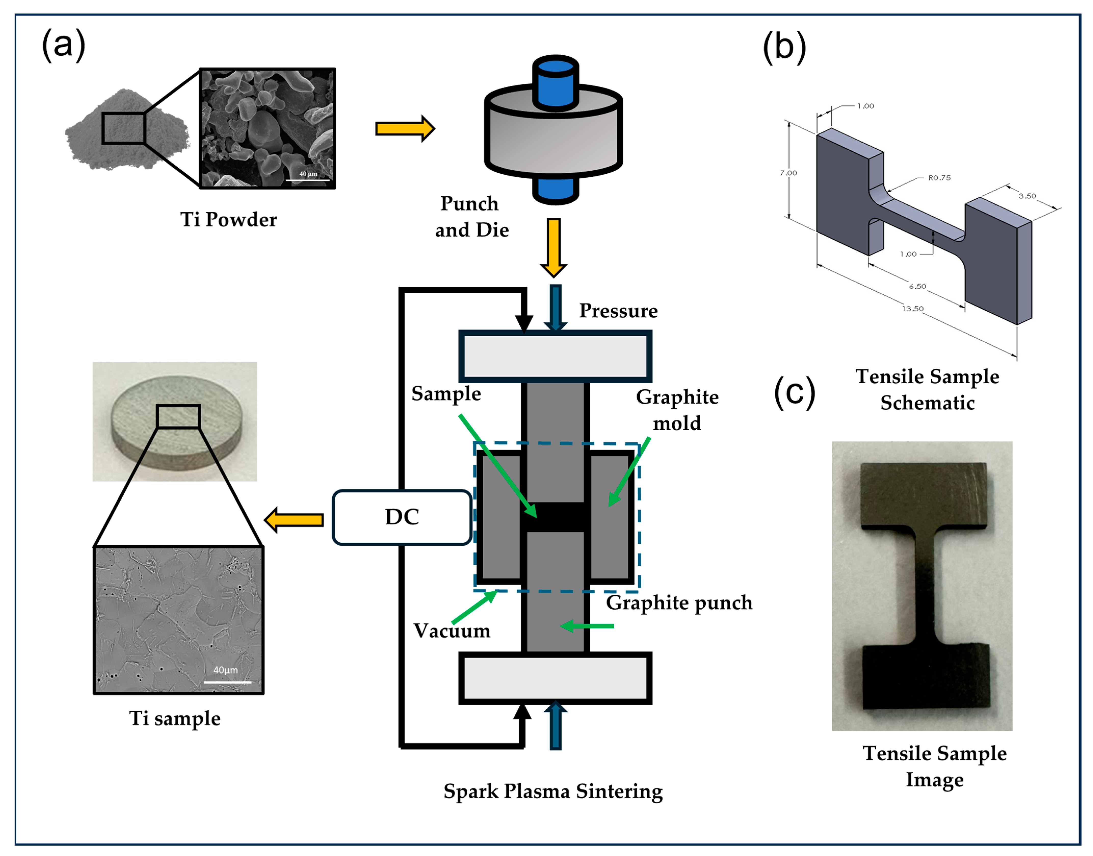 Spark Plasma Sintering of Pure Titanium: Microstructure and Mechanical ...