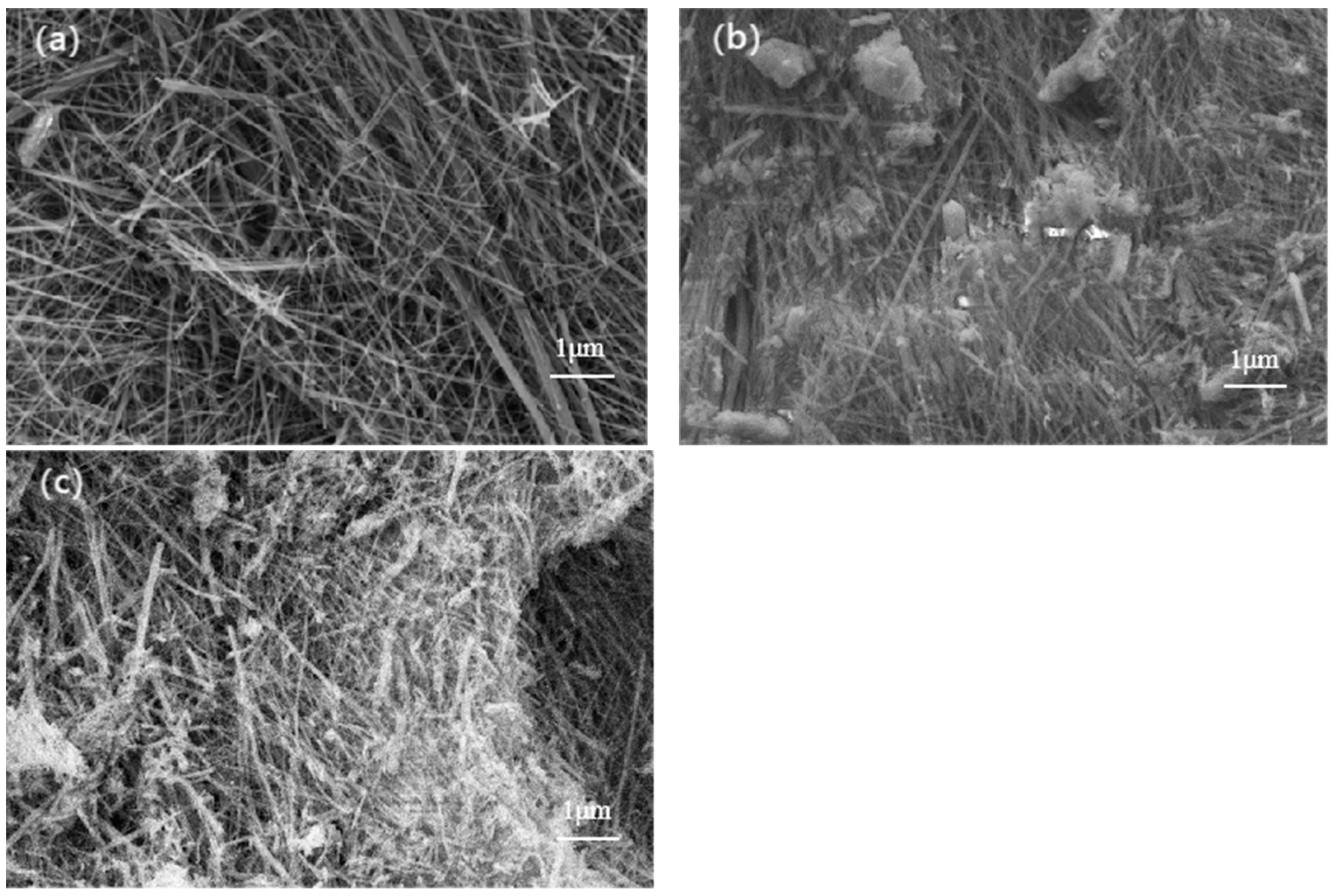 A Study on the Application Performance of High-Aspect-Ratio Nano ...