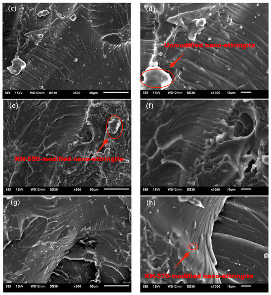 A Study on the Application Performance of High-Aspect-Ratio Nano ...