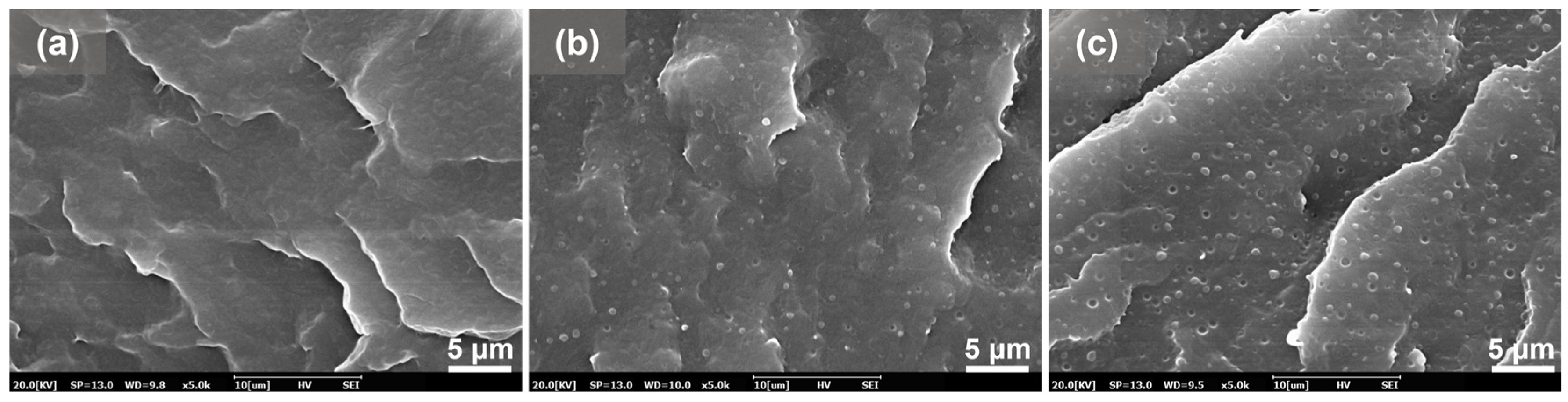 Fabrication of Soft Biodegradable Foam with Improved Shrinkage ...