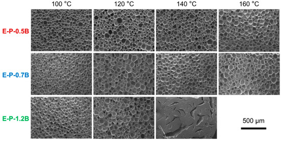 Comparative Study of the Foaming Behavior of Ethylene–Vinyl Acetate ...