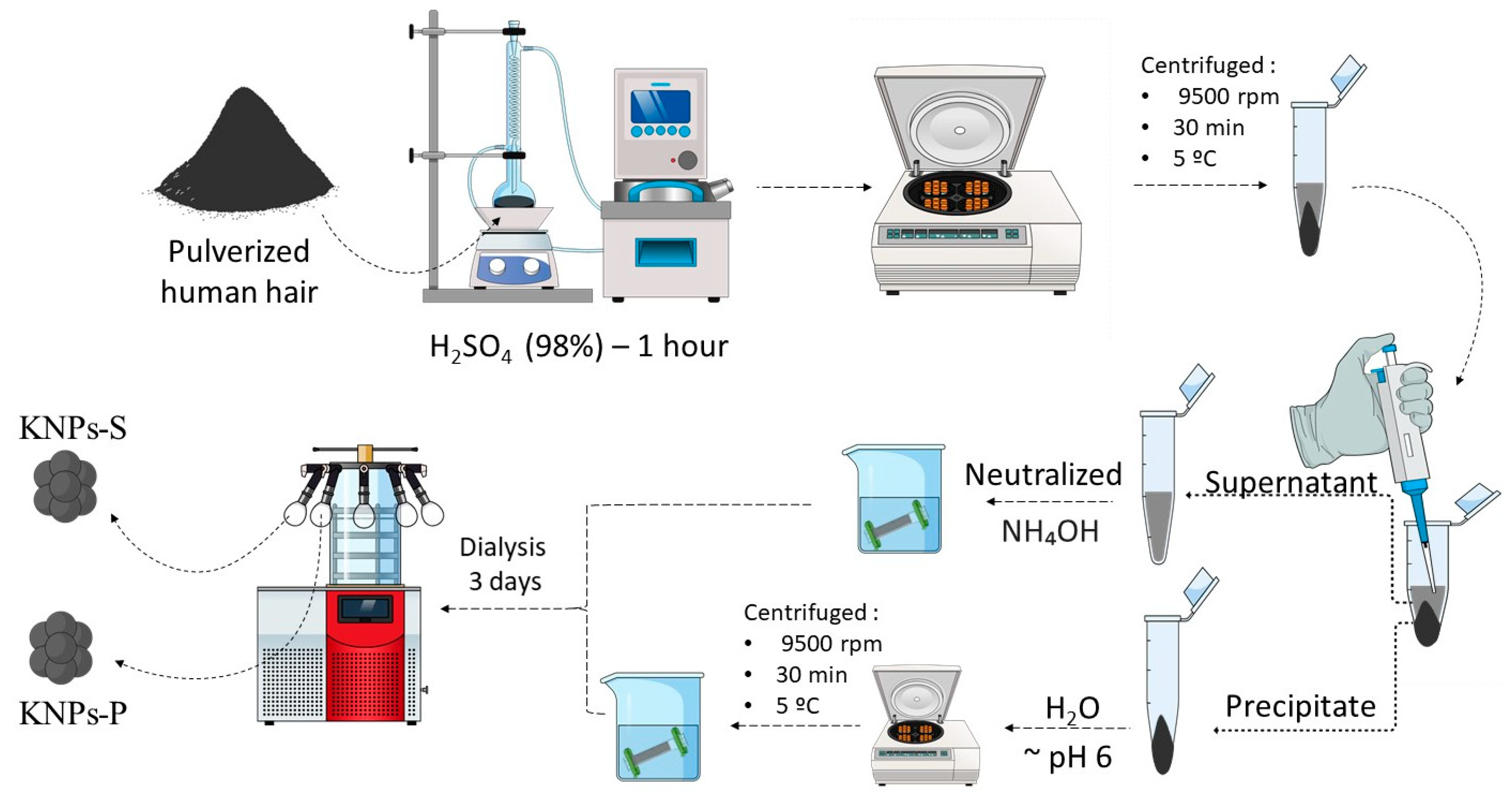 Synthesis of Keratin Nanoparticles Extracted from Human Hair through ...