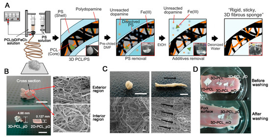 Polydopamine Applications in Biomedicine and Environmental Science