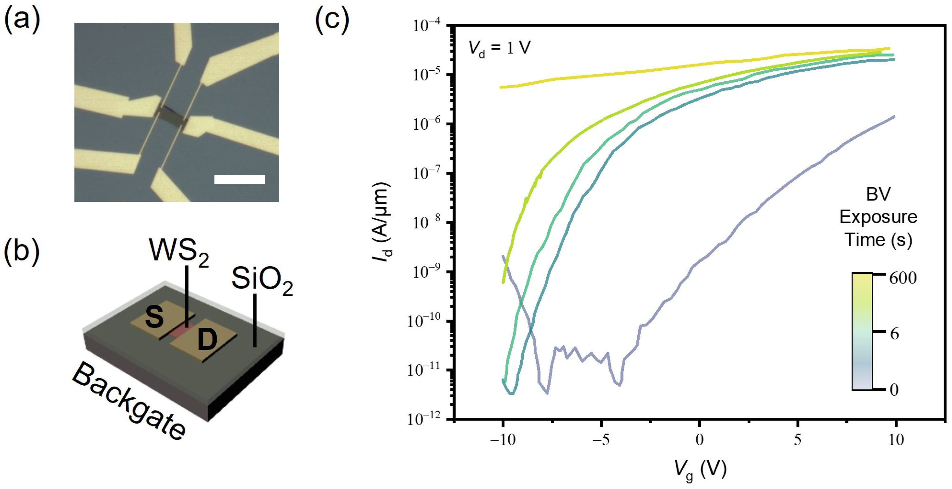Photoluminescence of Chemically and Electrically Doped Two-Dimensional ...