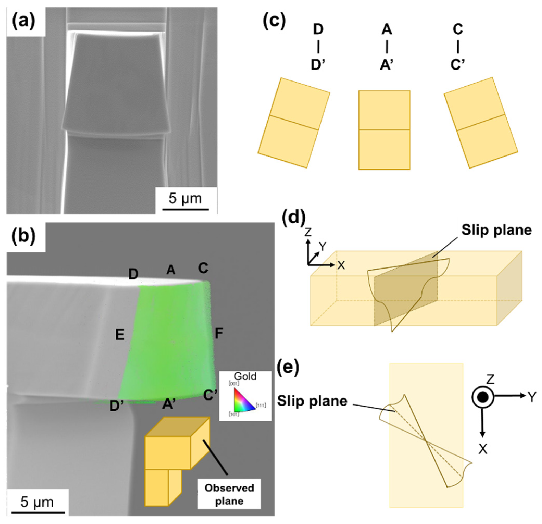 Simultaneous Necking and Barreling Deformation Behaviors in Bending of ...