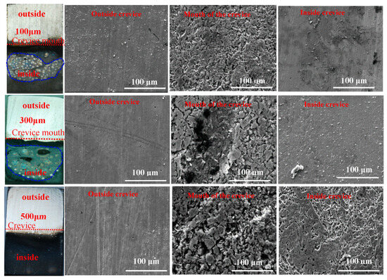 Effect of Crevice Size on Crevice Corrosion of N80 Carbon Steel in CO2 ...