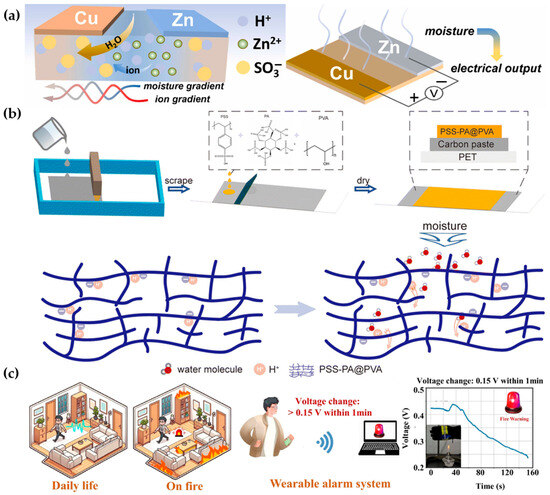 Research Progress and Emerging Directions in Stimulus Electro ...