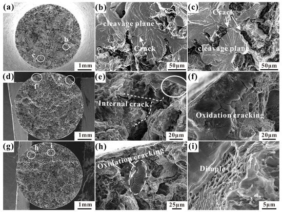 Low-Cycle Fatigue Damage Mechanism and Life Prediction of High-Strength ...