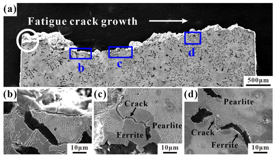 Low-Cycle Fatigue Damage Mechanism and Life Prediction of High-Strength ...