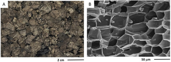 Cork Façades as an Innovative and Sustainable Approach in Architecture ...