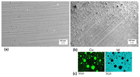 Radiation Effects in Tungsten and Tungsten-Copper Alloys Treated with ...
