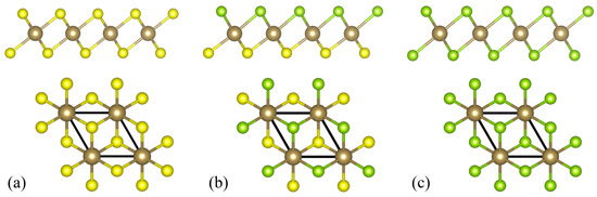 Janus Monolayer of 1T-TaSSe: A Computational Study Janus Monolayer of 1T-TaSSe: A Computational Study