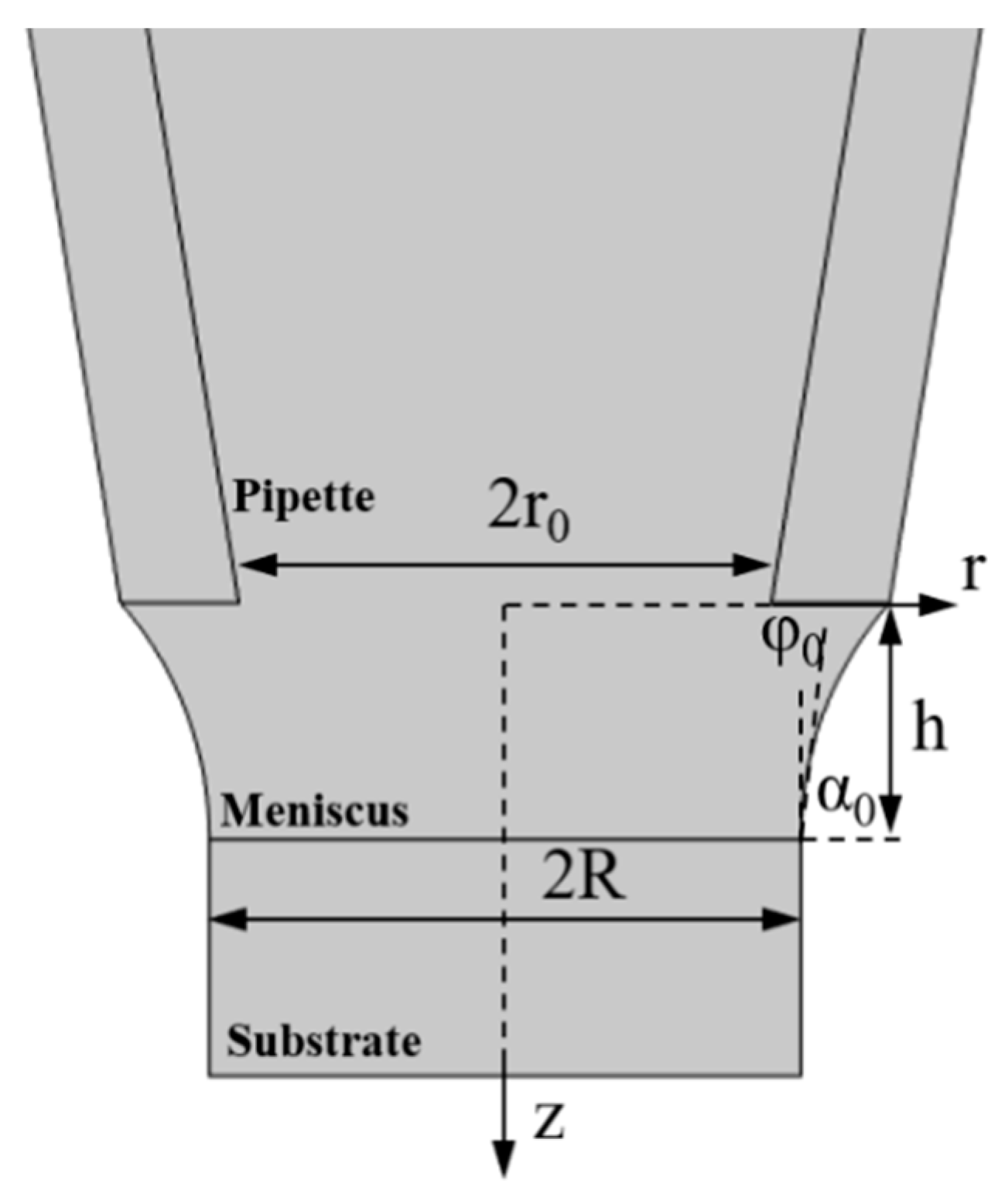 Continuous and Stable Printing Method of Planar Microstructure Based on Meniscus-Confined ...