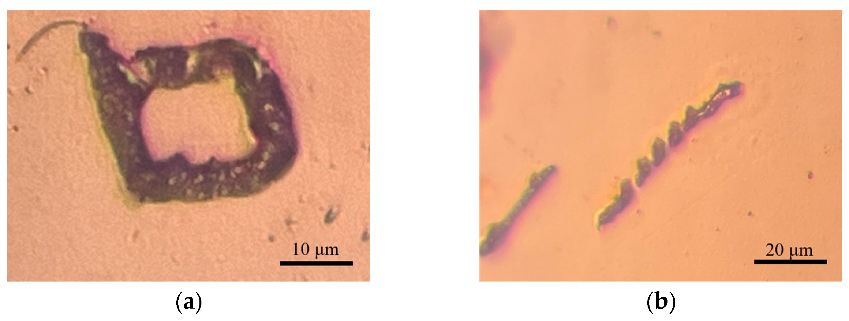 Continuous and Stable Printing Method of Planar Microstructure Based on Meniscus-Confined ...
