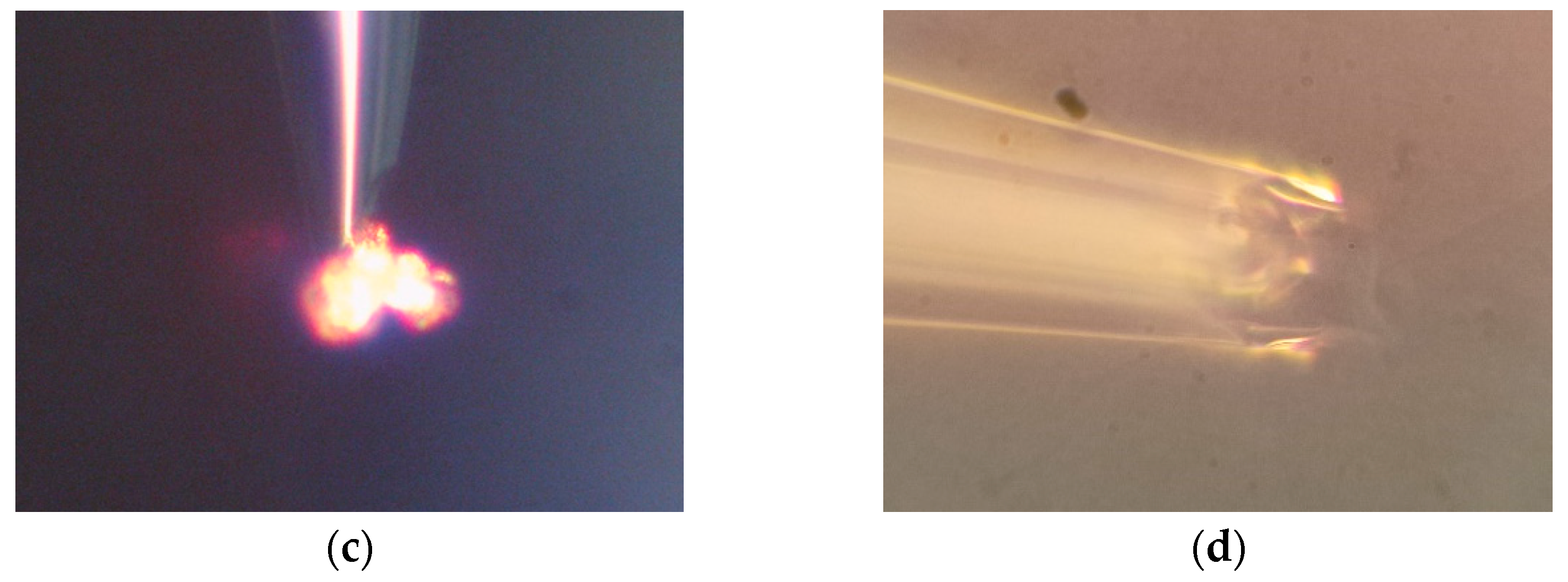 Continuous and Stable Printing Method of Planar Microstructure Based on Meniscus-Confined ...