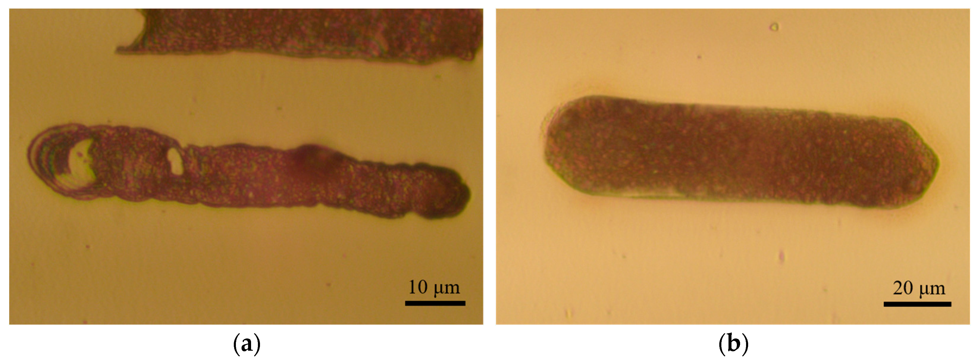 Continuous and Stable Printing Method of Planar Microstructure Based on Meniscus-Confined ...