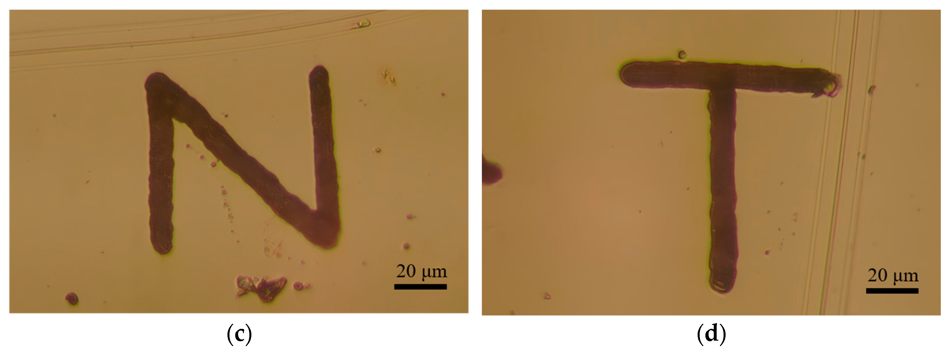 Continuous and Stable Printing Method of Planar Microstructure Based on Meniscus-Confined ...