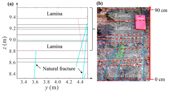 Influence of Natural Fractures and Laminae on Fracture Propagation and ...