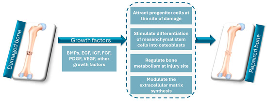 An Up-to-Date Review of Materials Science Advances in Bone Grafting for ...