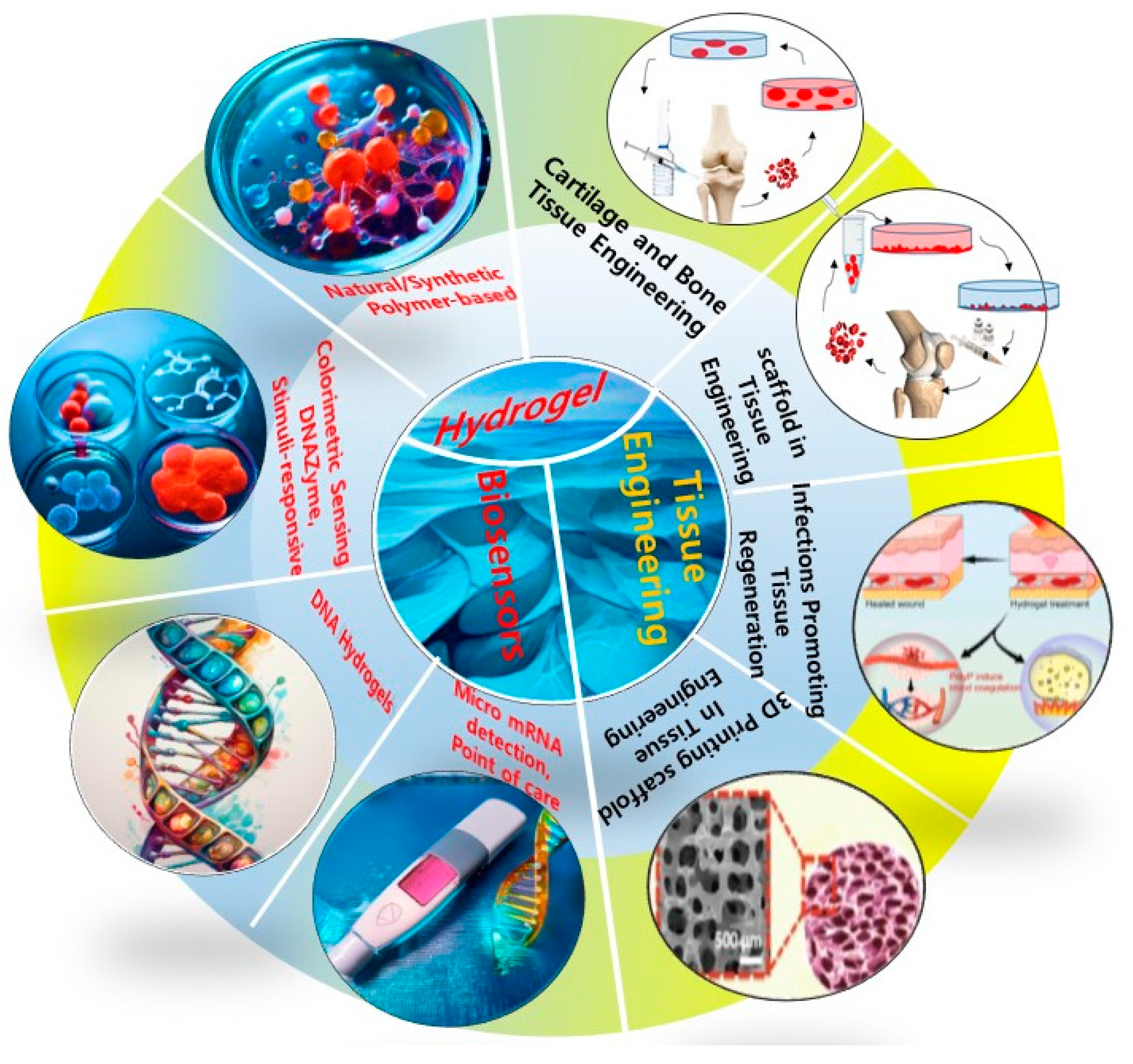 Cutting-Edge Hydrogel Technologies in Tissue Engineering and Biosensing ...