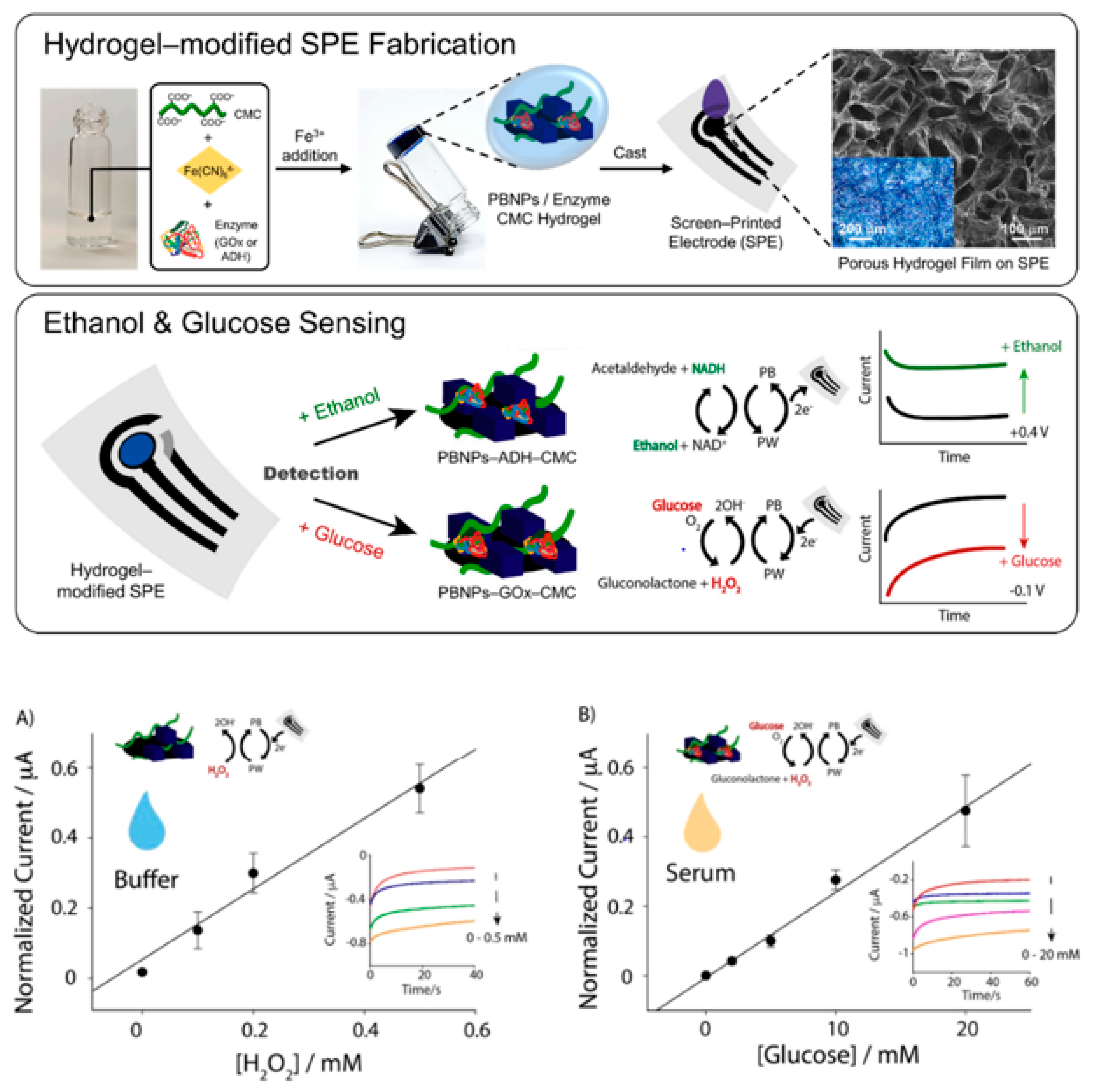 Cutting-Edge Hydrogel Technologies in Tissue Engineering and Biosensing ...
