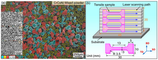 Effect of Deposit Scale on Mechanical Properties of In-Situ Alloyed ...