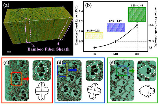 Structural and Chemical Analysis of Three Regions of Bamboo ...