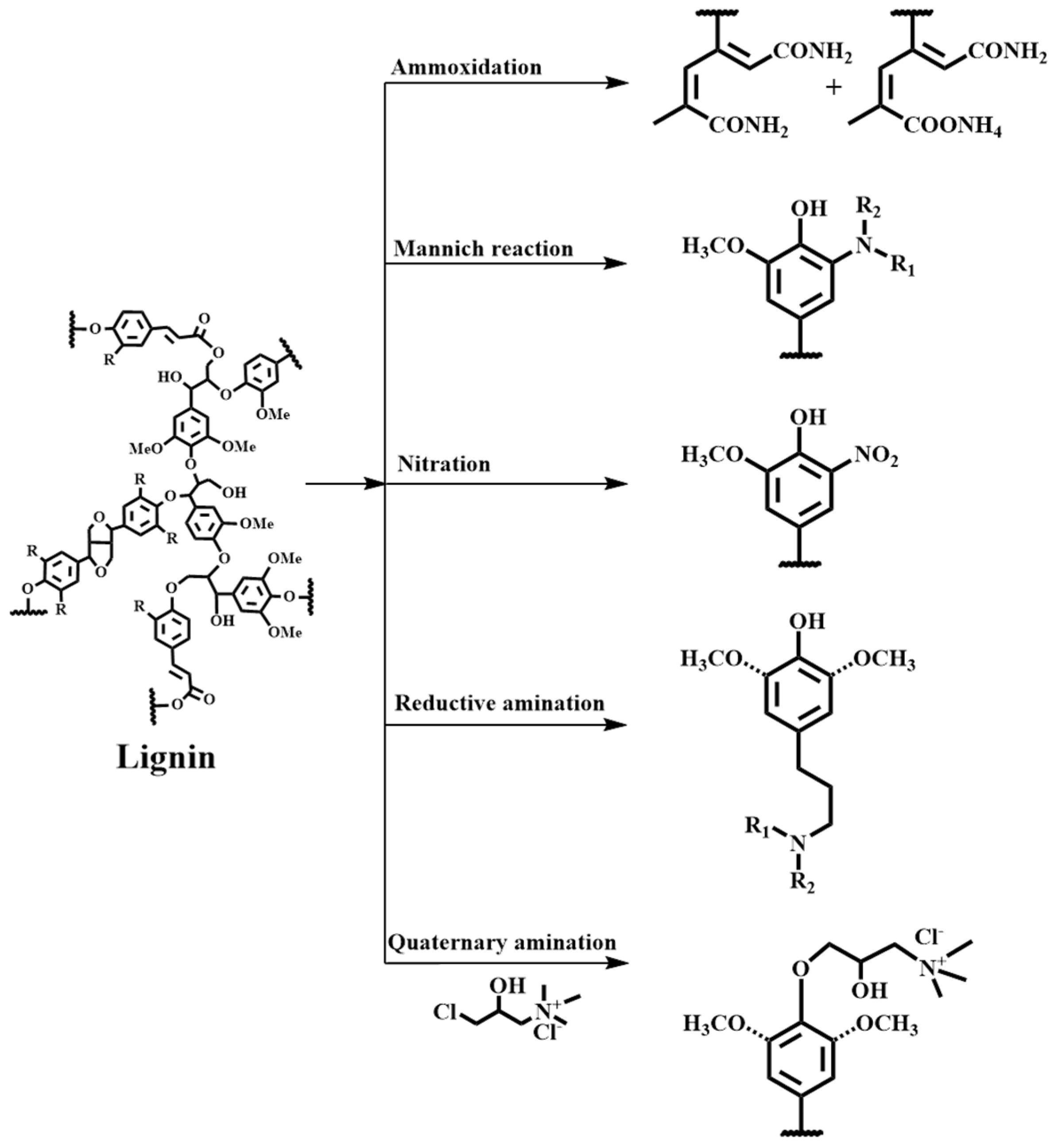 Conversion of Lignin to Nitrogenous Chemicals and Functional Materials