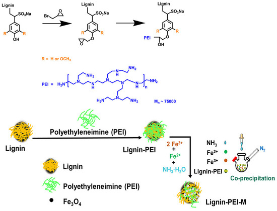 Conversion of Lignin to Nitrogenous Chemicals and Functional Conversion of Lignin to Nitrogenous Chemicals and Functional