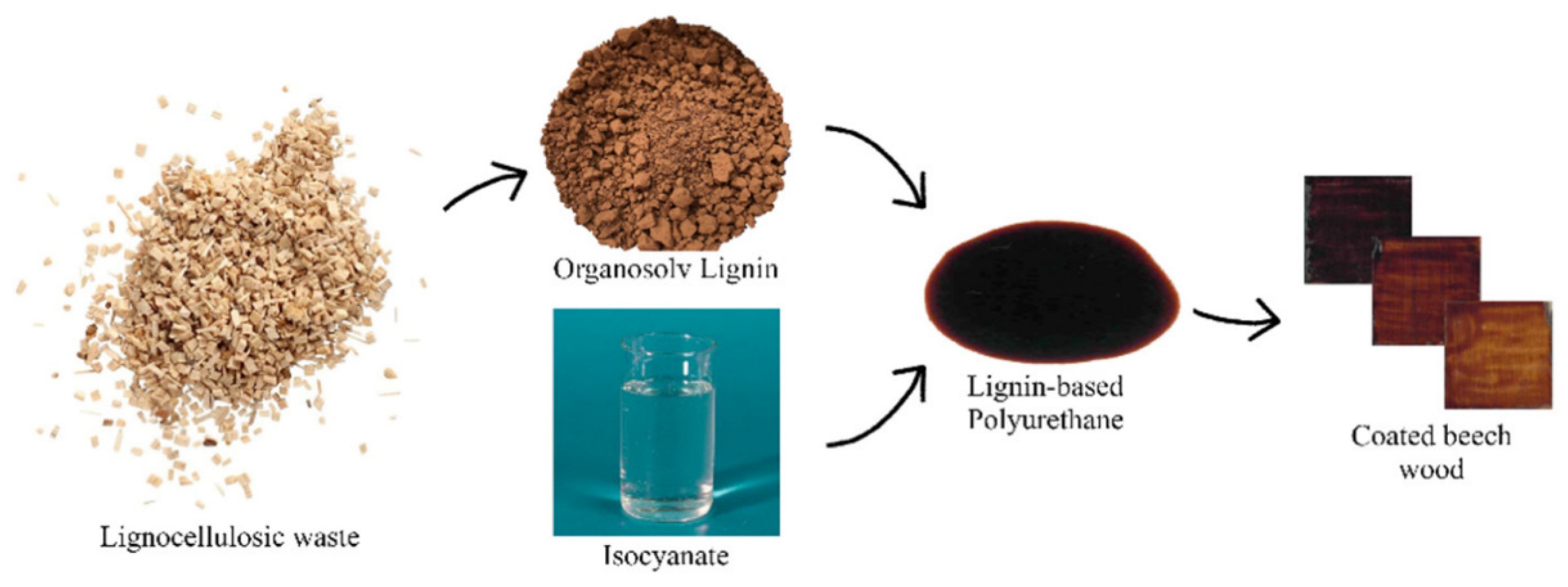 Conversion of Lignin to Nitrogenous Chemicals and Functional Materials