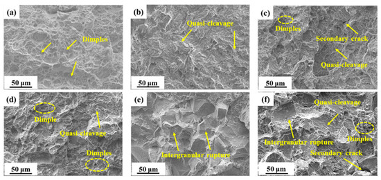 Evolution of Microstructures and Mechanical Properties with Tempering Temperature in a Novel ...