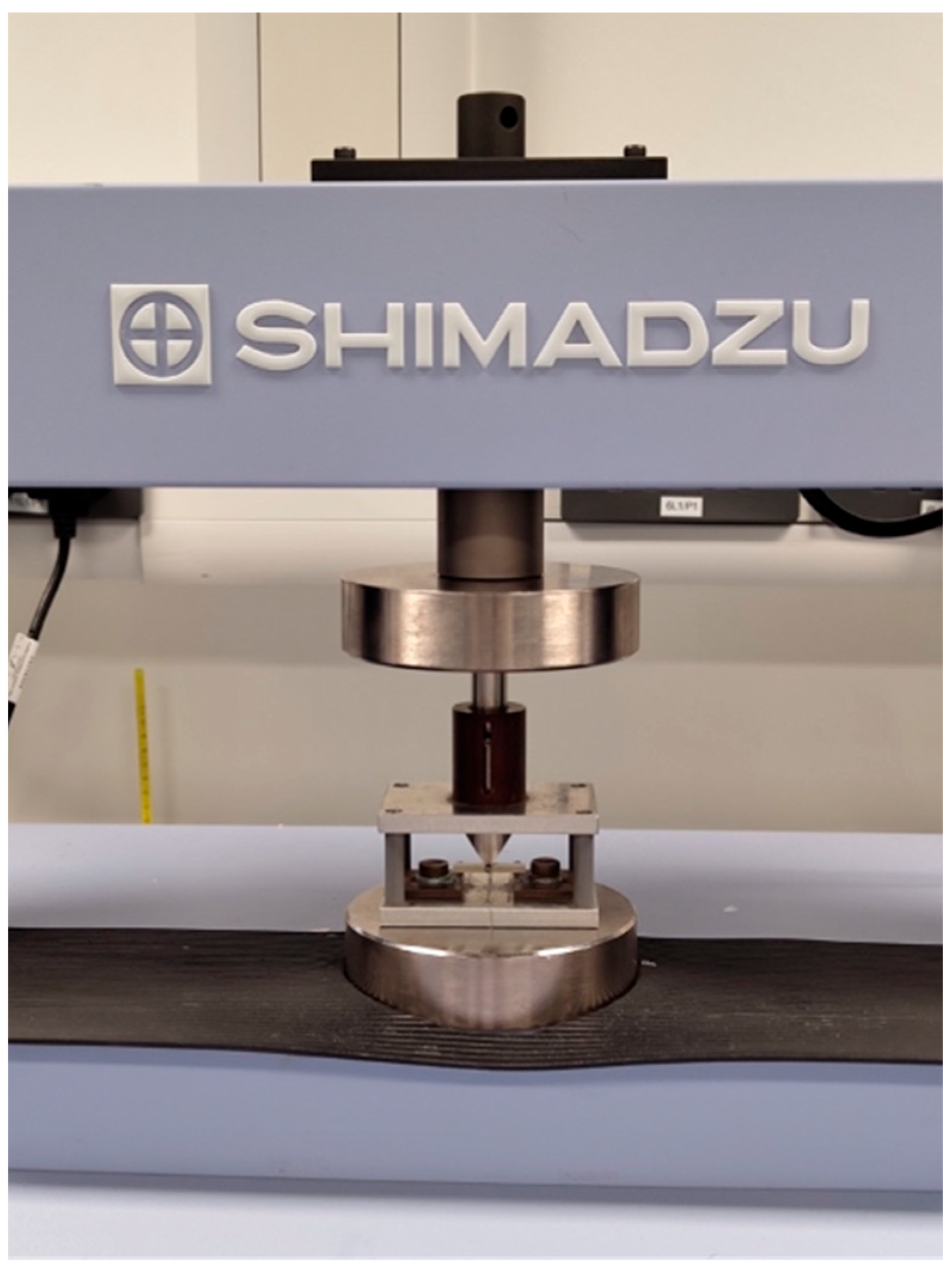 Fracture Toughness of Short Fibre-Reinforced Composites—In Vitro Study