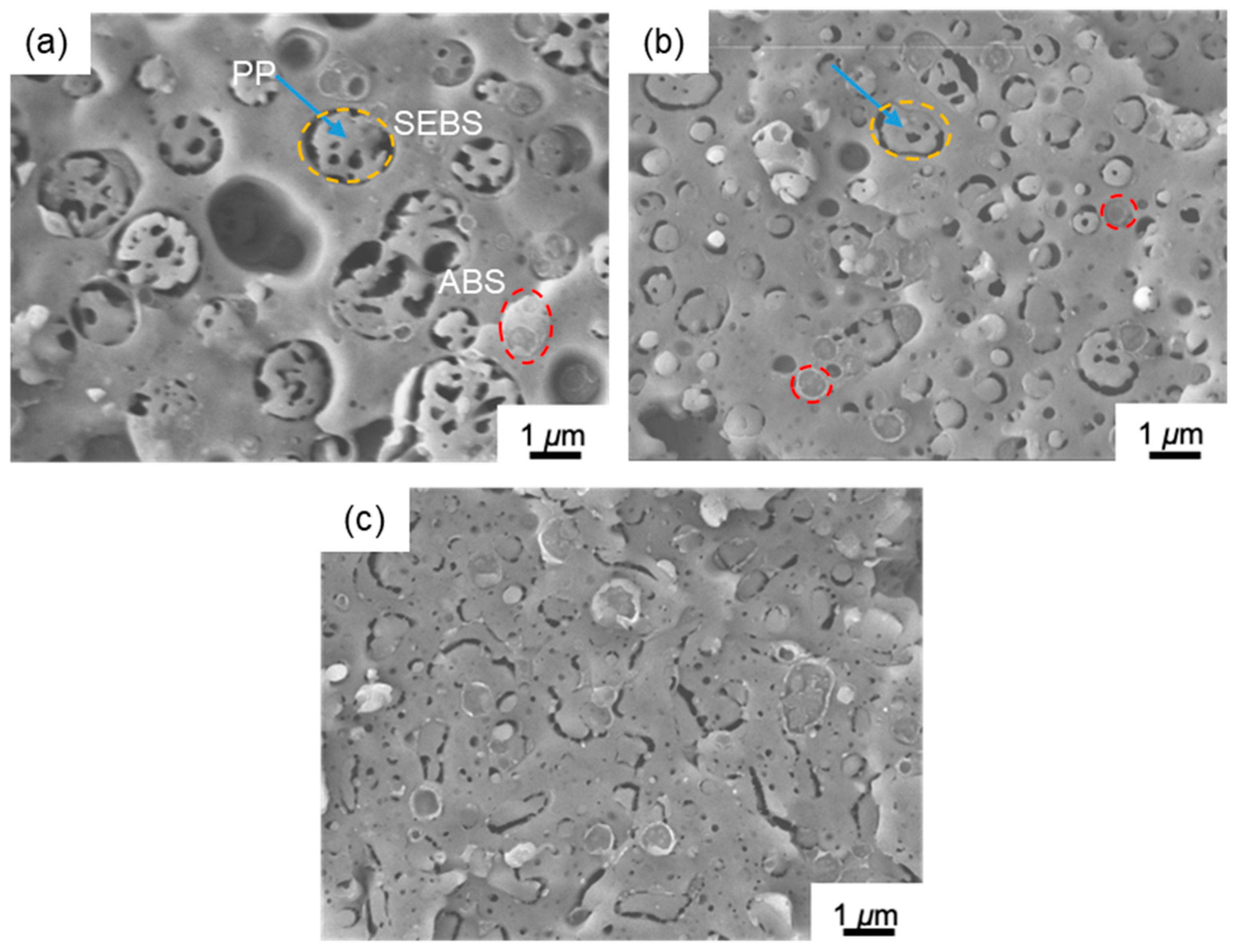 Super Tough PA6/PP/ABS/SEBS Blends Compatibilized by a Combination of Multi-Phase Compatibilizers