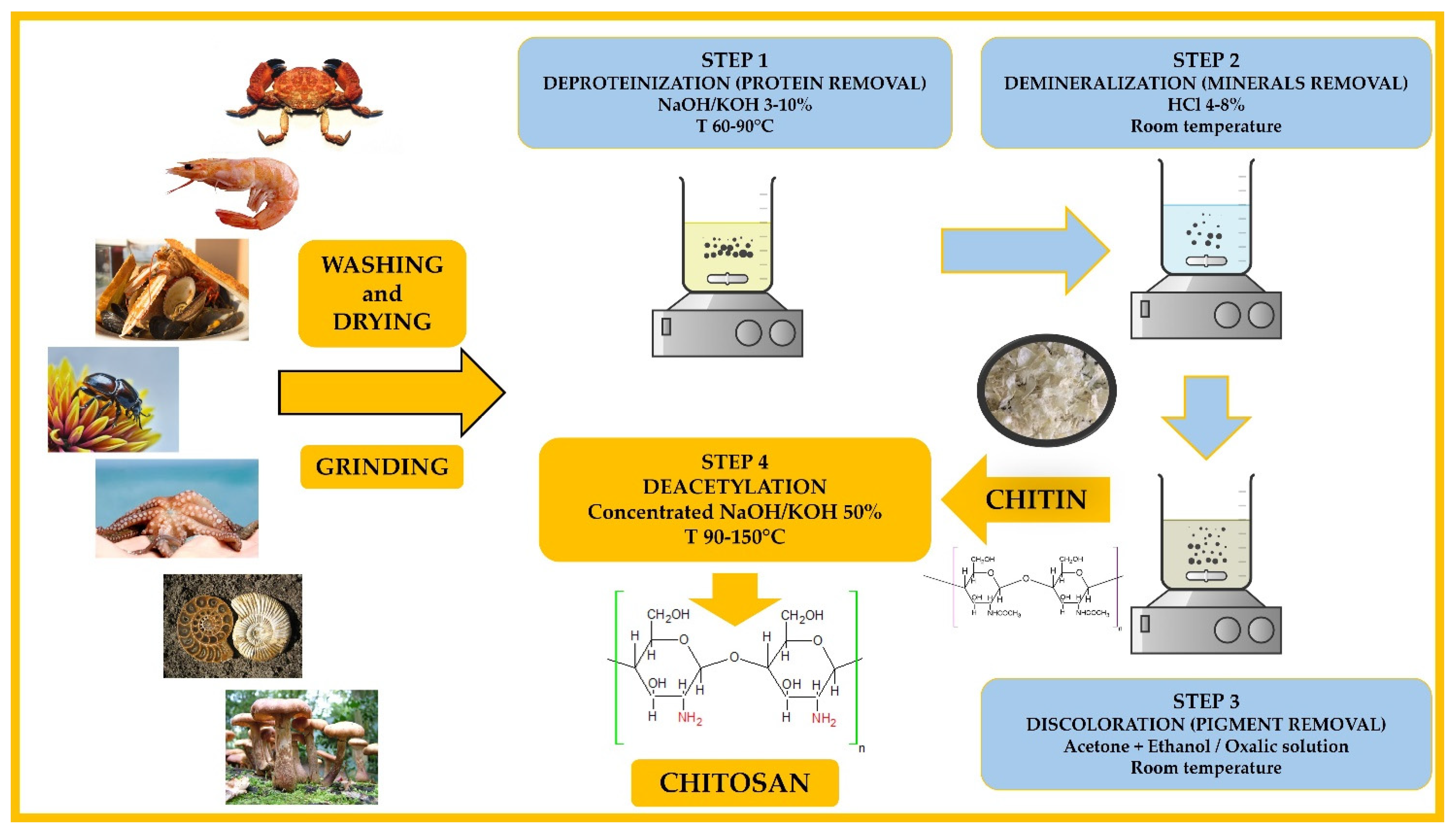 A Review of Chitosan-Based Materials for Biomedical, Food, and Water Treatment Applications