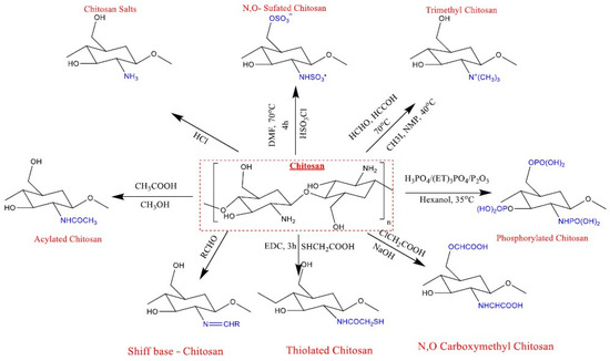 A Review of Chitosan-Based Materials for Biomedical, Food, and Water Treatment Applications