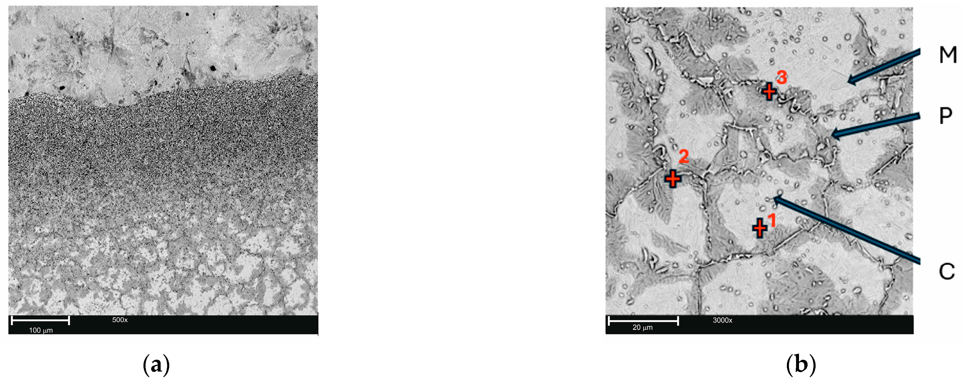 Microstructure of the Working Layer of X46Cr13 Steel in a Bimetal ...