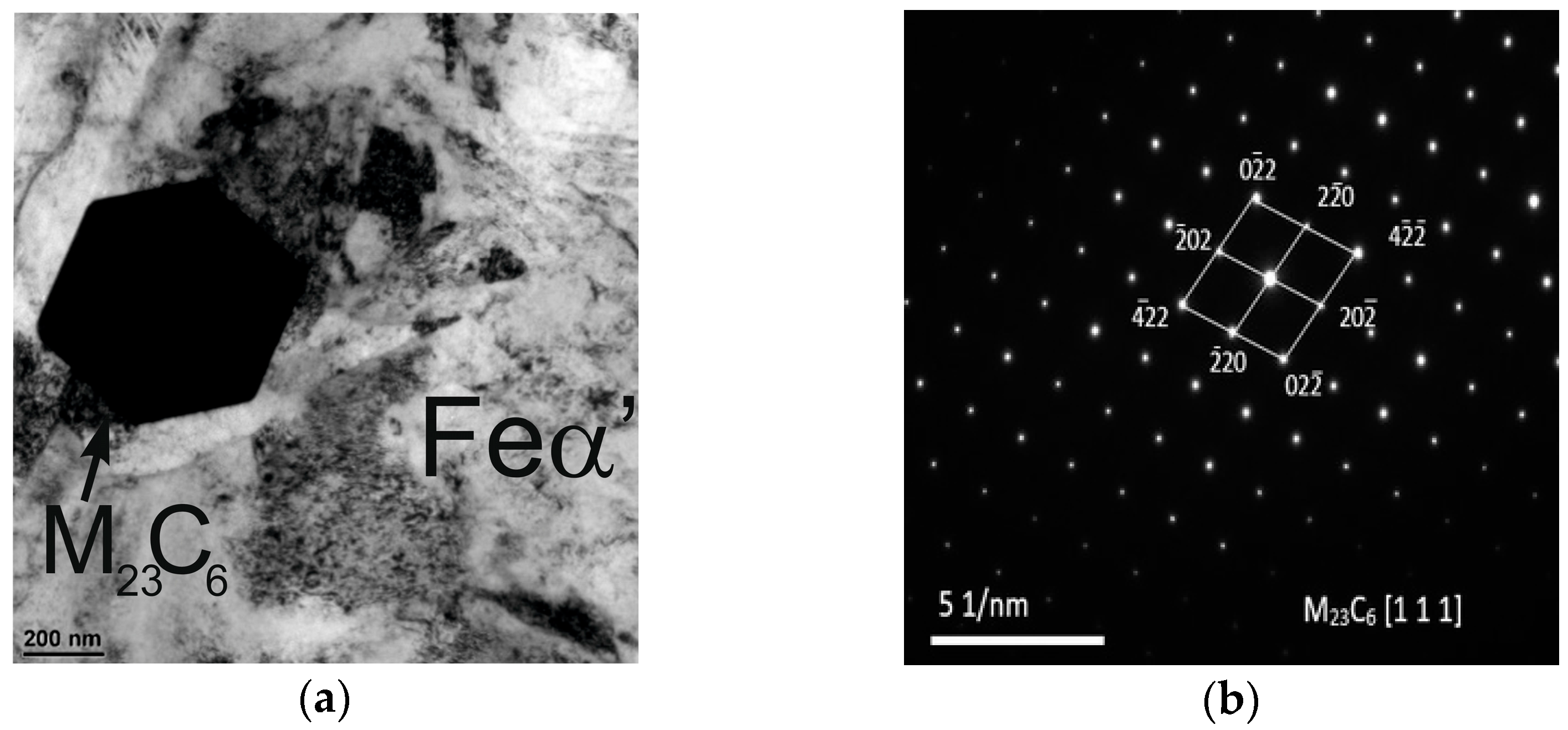 Microstructure of the Working Layer of X46Cr13 Steel in a Bimetal ...