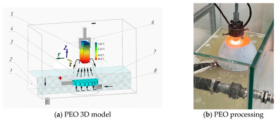Experimental and Mathematical Modelling Investigation of Plasma ...