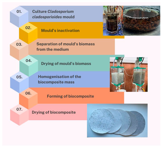 Biocomposites Based on Mould Biomass and Waste Fibres for the ...